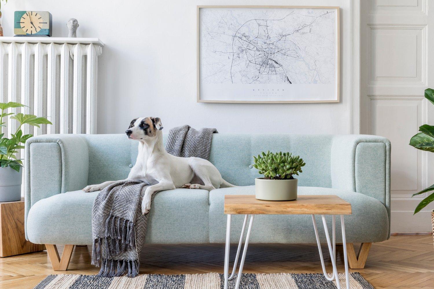 CushionCraft Fabric – CushionCraft Upholstery