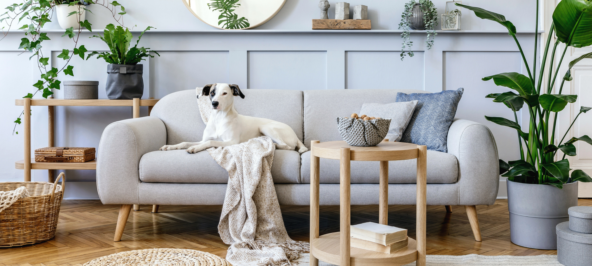 CushionCraft Fabric – CushionCraft Upholstery